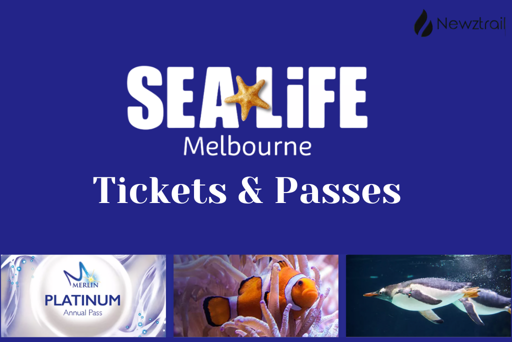 A Comprehensive Guide for Sea Life Melbourne Tickets & Passes